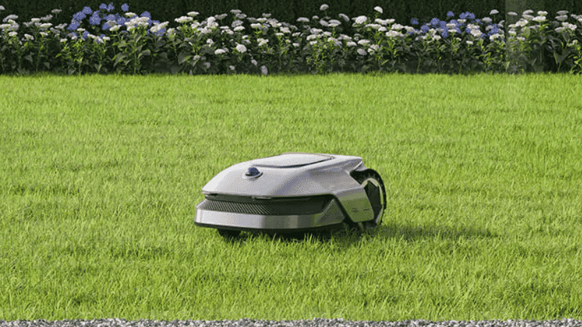 Dreame - The Good Guys