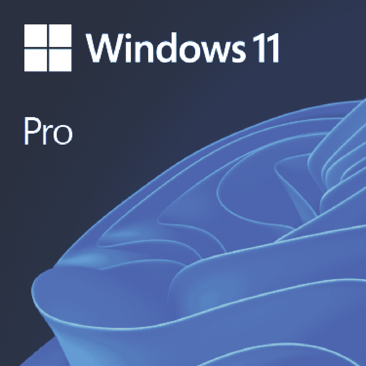 Microsoft Windows 11 Pro ESD AUWIN007