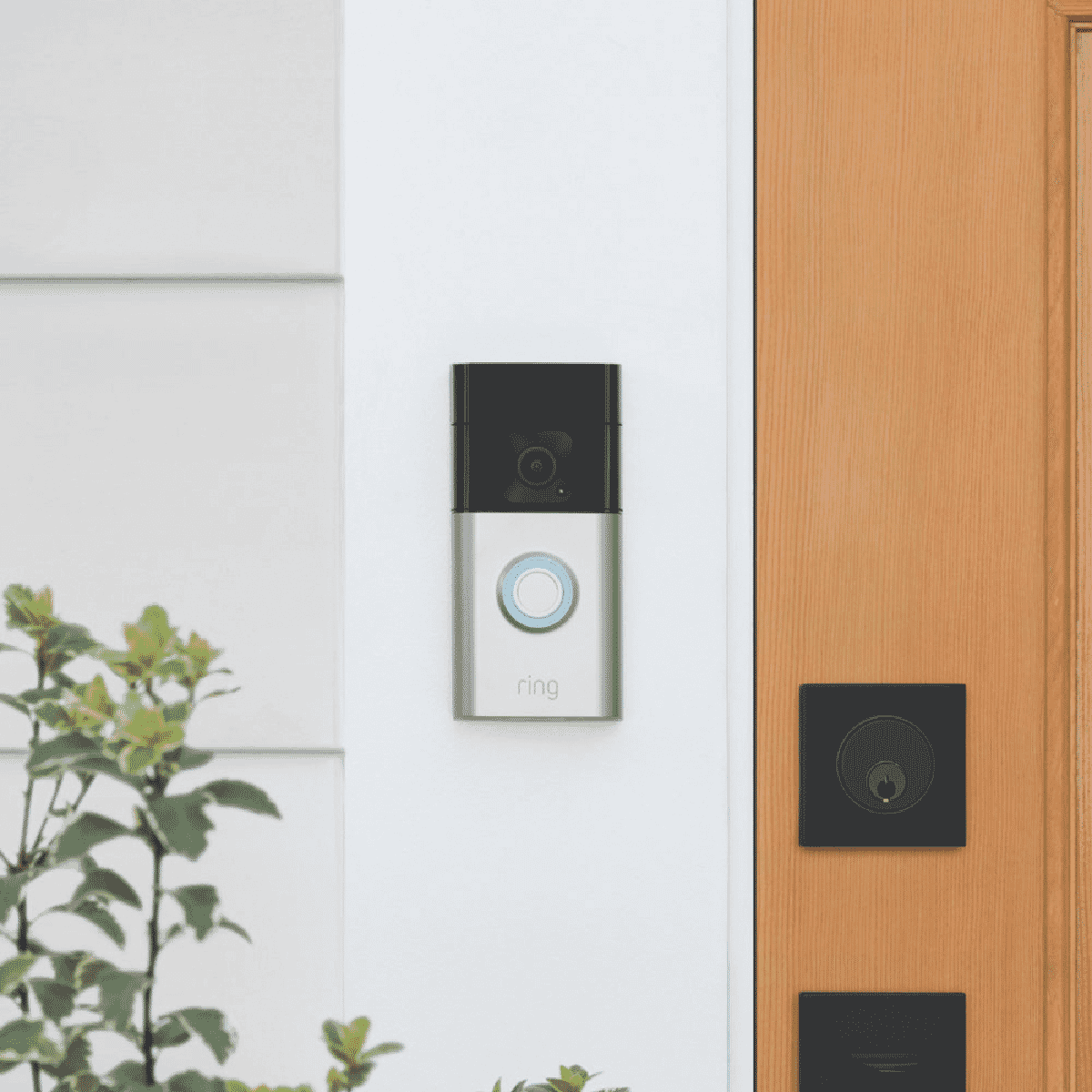 Ring Battery Video Doorbell Plus & Chime B0BFJNDSJR