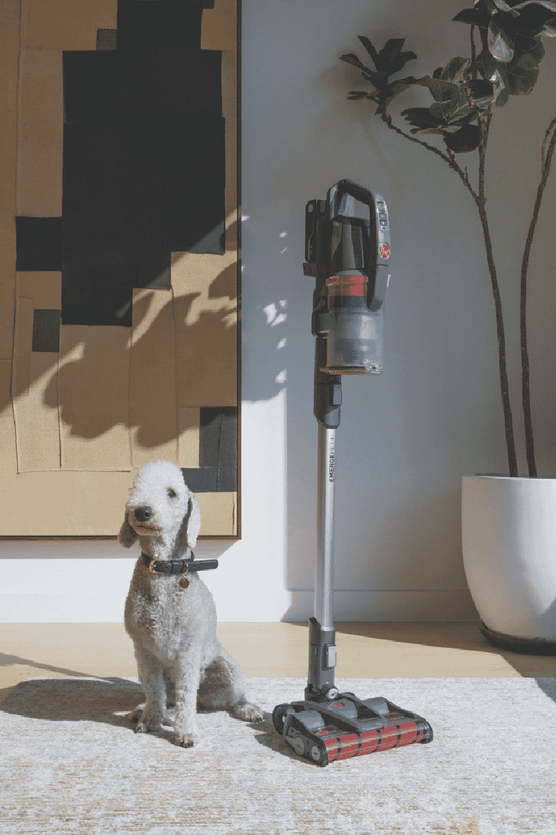 Hoover ONEPWR Emerge Pet Plus Cordless Vacuum F18OPSV23I