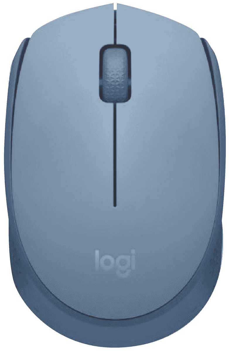 Logitech M171 Compact Wireless Mouse (Blue Grey) 910-006869