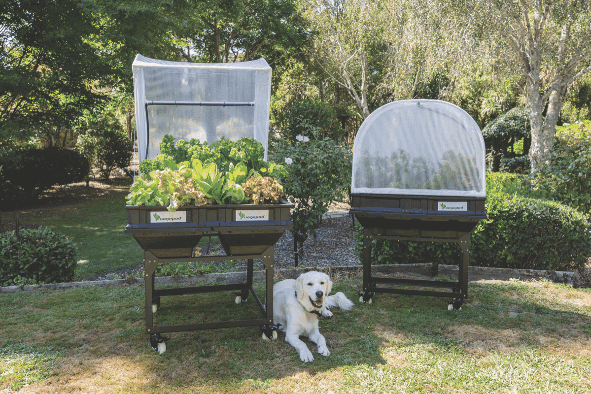 Vegepod with Vegecover - Small C0003