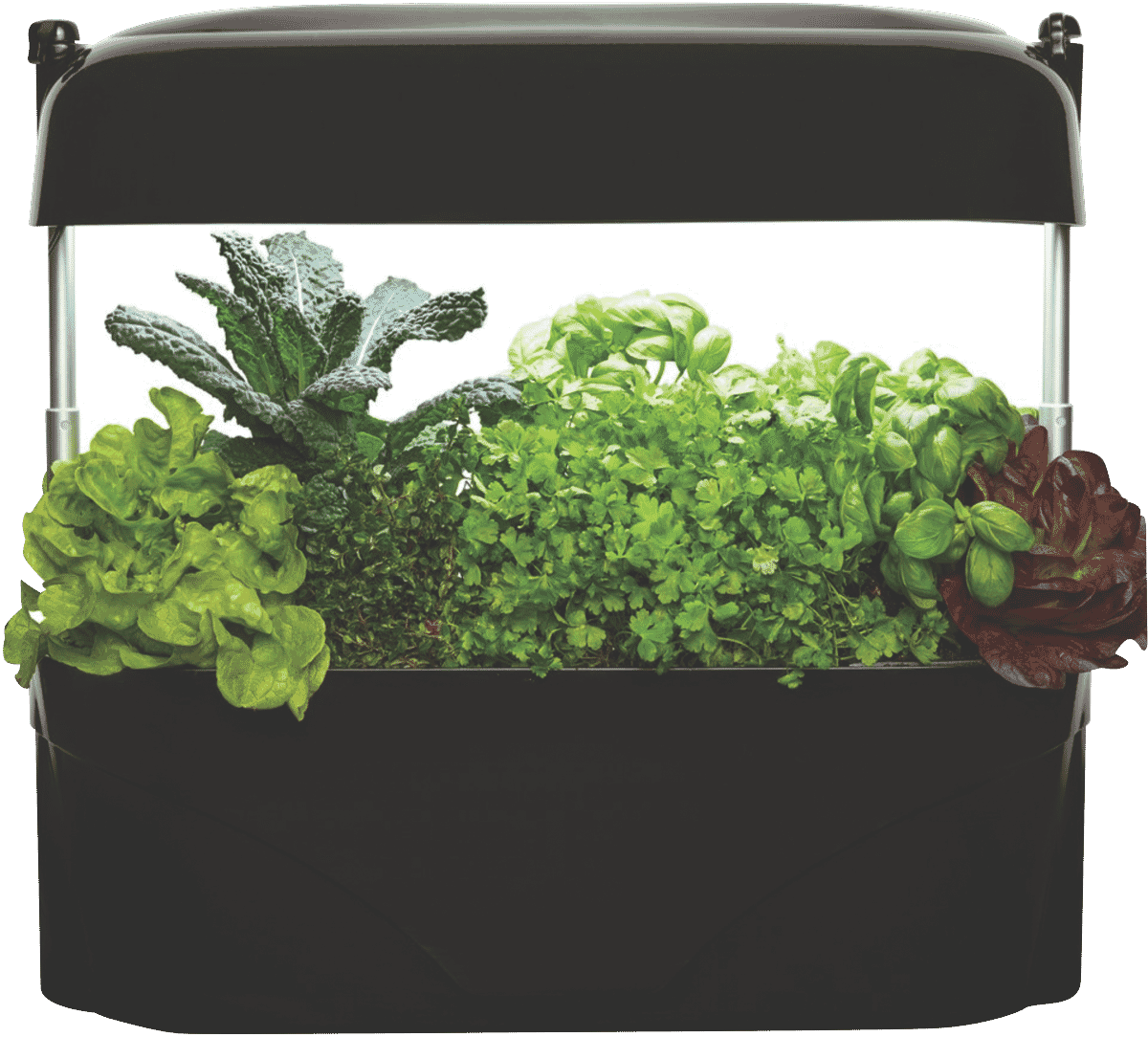 Vegepod Kitchen Garden - Black KG001B