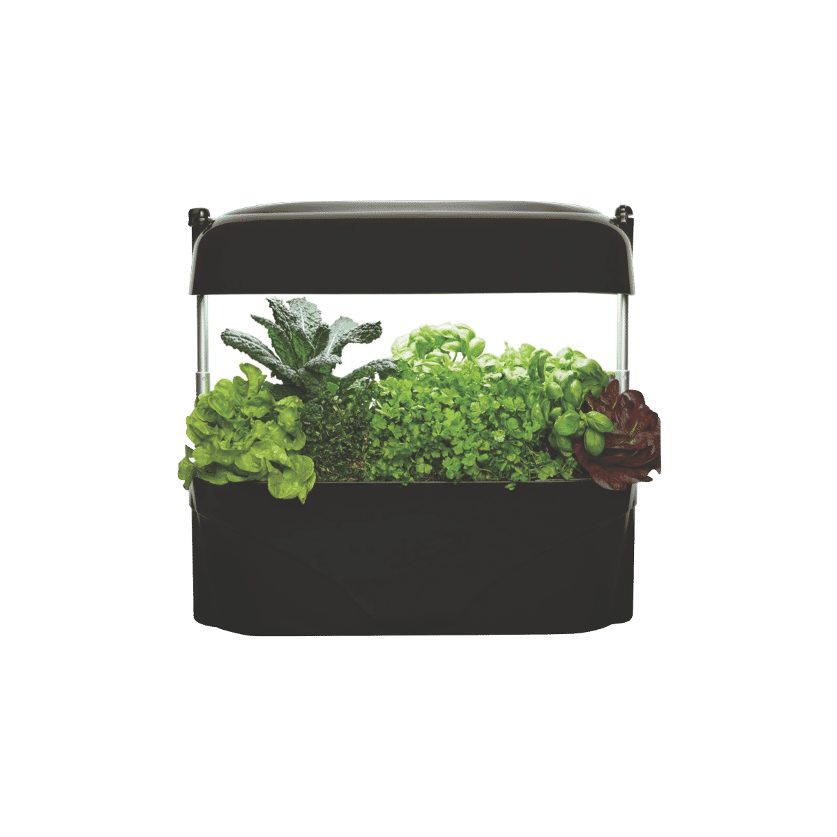 Vegepod Kitchen Garden - Black KG001B