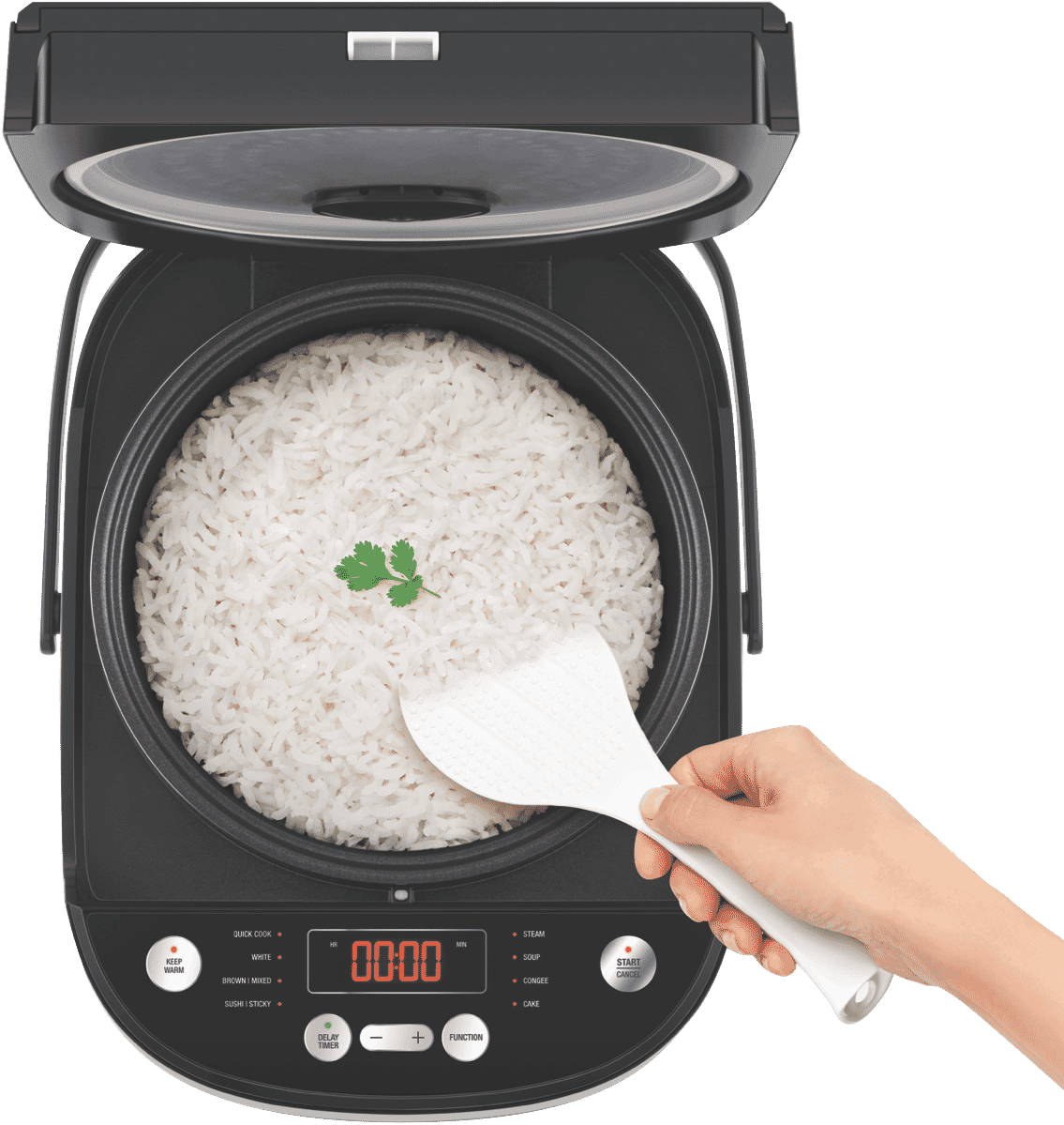 Breville The Rice Box Pro LRC470BSS2IAN1
