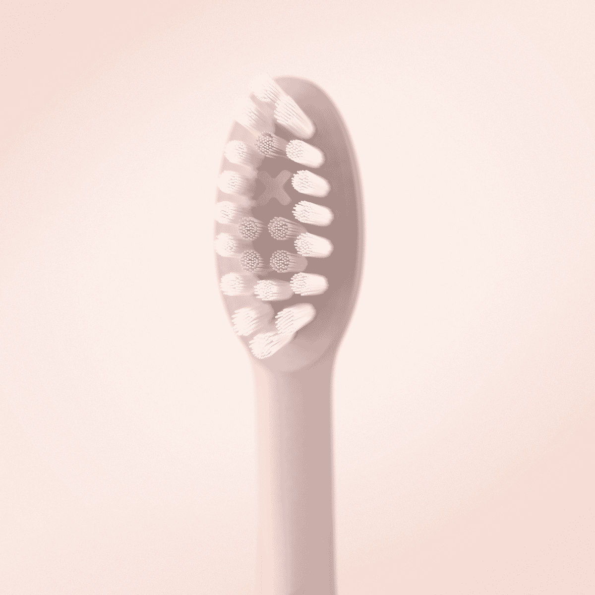 Ordo Sonic Brush Heads 4Pk Rose Gold/Petal SPH2000-RG