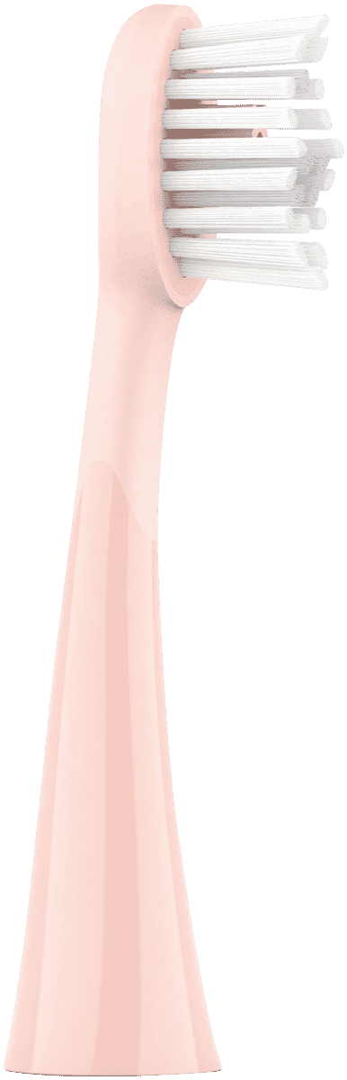 Ordo Sonic Brush Heads 4Pk Rose Gold/Petal SPH2000-RG